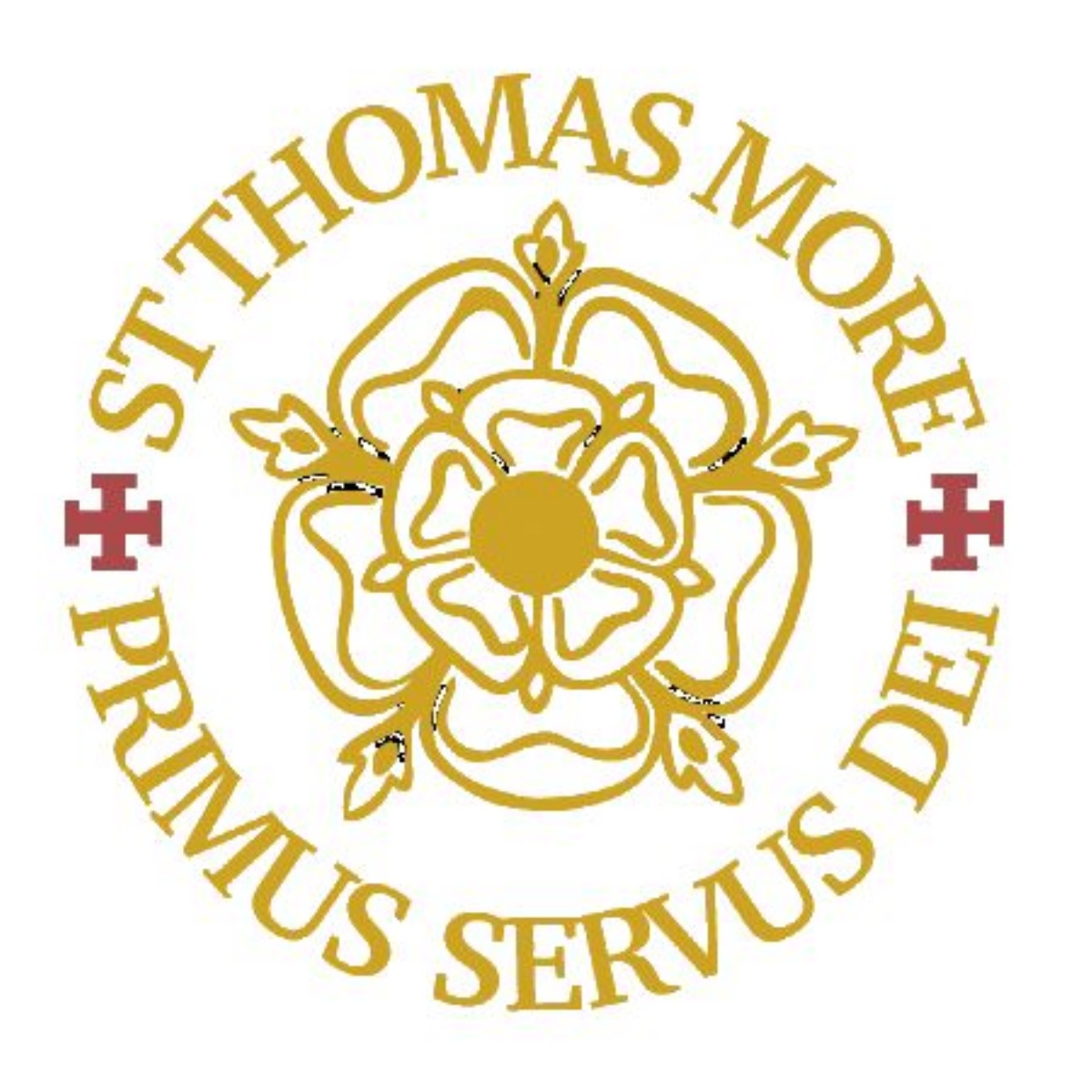 St Thomas More Catholic Secondary School - A Level Results
